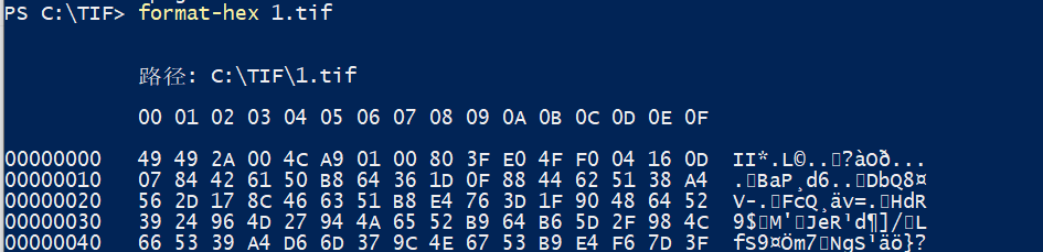 判断图片文件真实类型---通过文件表头判断。_查看图片真实格式-CSDN博客