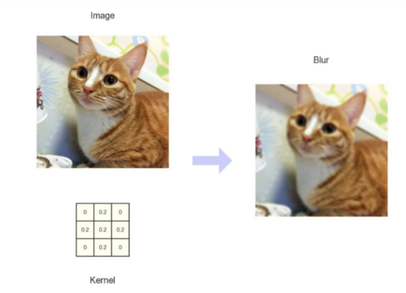 【深度学习理论 卷积神经网络01】超快理解kernel卷积核 及 引言_kernel(3,3-CSDN博客