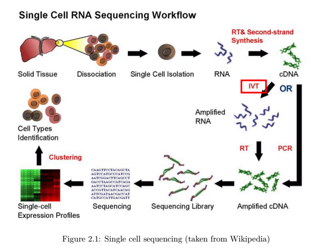 scRNA-seq Course 学习_scrna seq是什么意思-CSDN博客