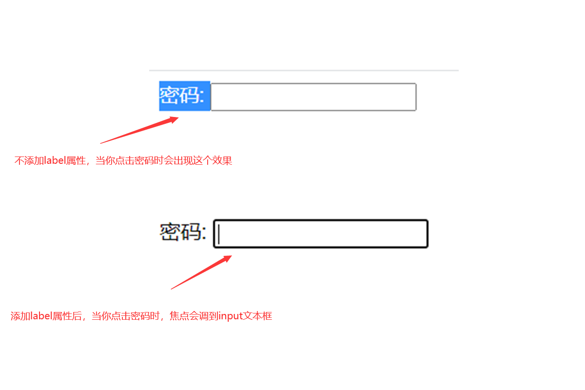 Html中input文本框与label属性的关系 Csdn博客 