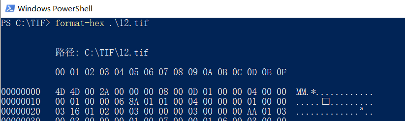 判断图片文件真实类型---通过文件表头判断。_查看图片真实格式-CSDN博客