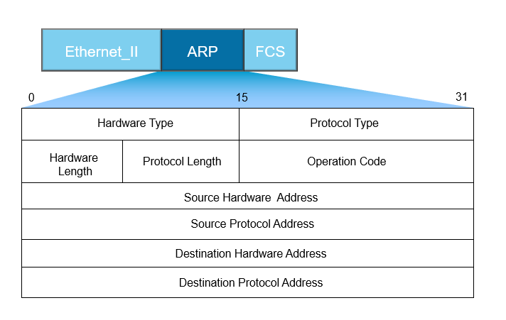 ARP协议_arp request-CSDN博客