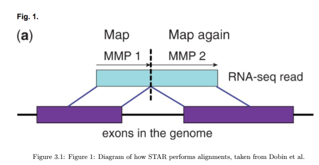 scRNA-seq Course 学习_scrna seq是什么意思-CSDN博客