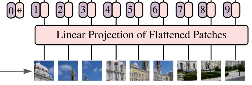 Vision transformer的详解_vision transformer position embedding-CSDN博客