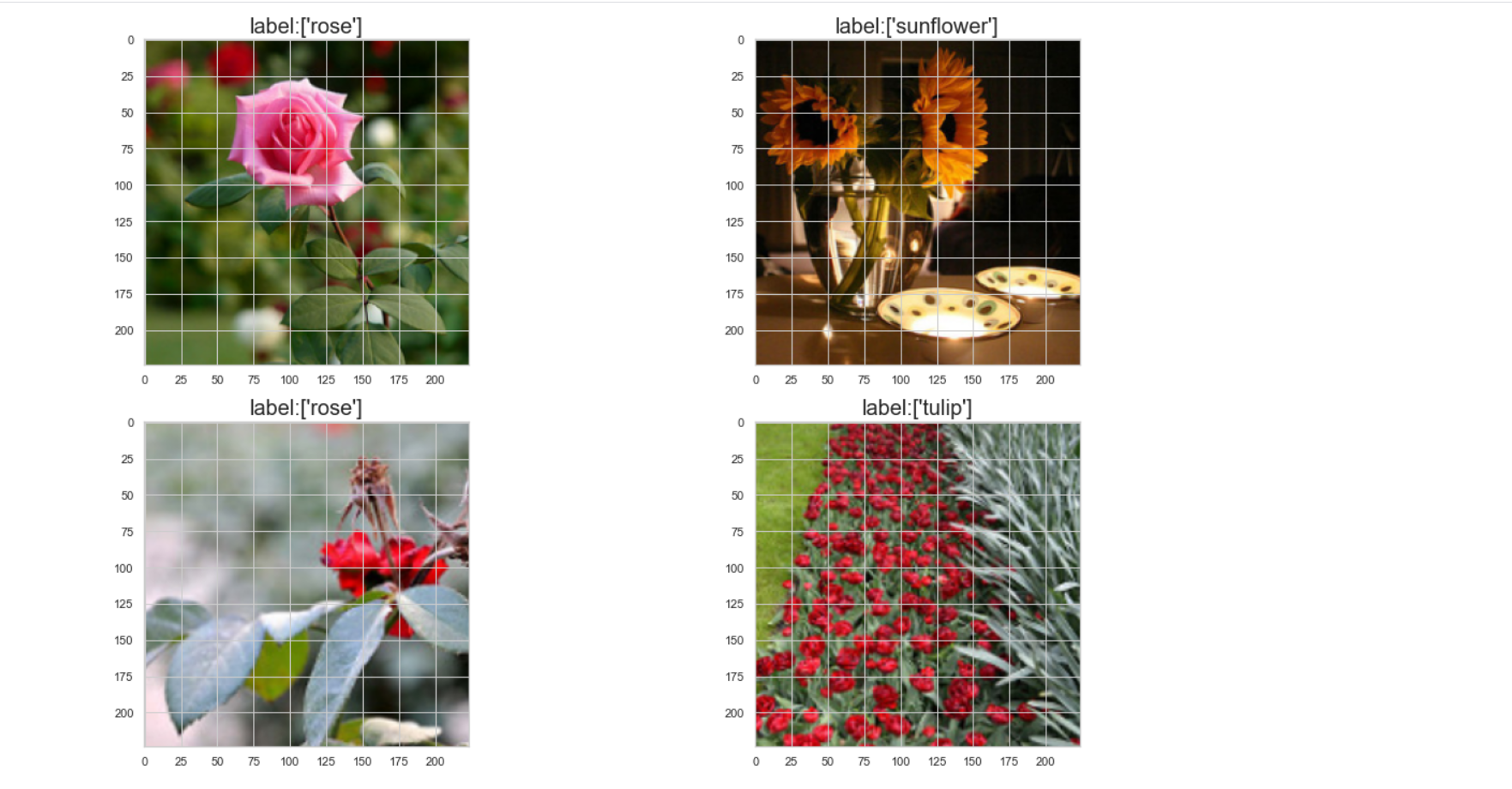 Pytorch Resnet花朵识别（5种花）附完整代码花卉识别代码 Csdn博客 