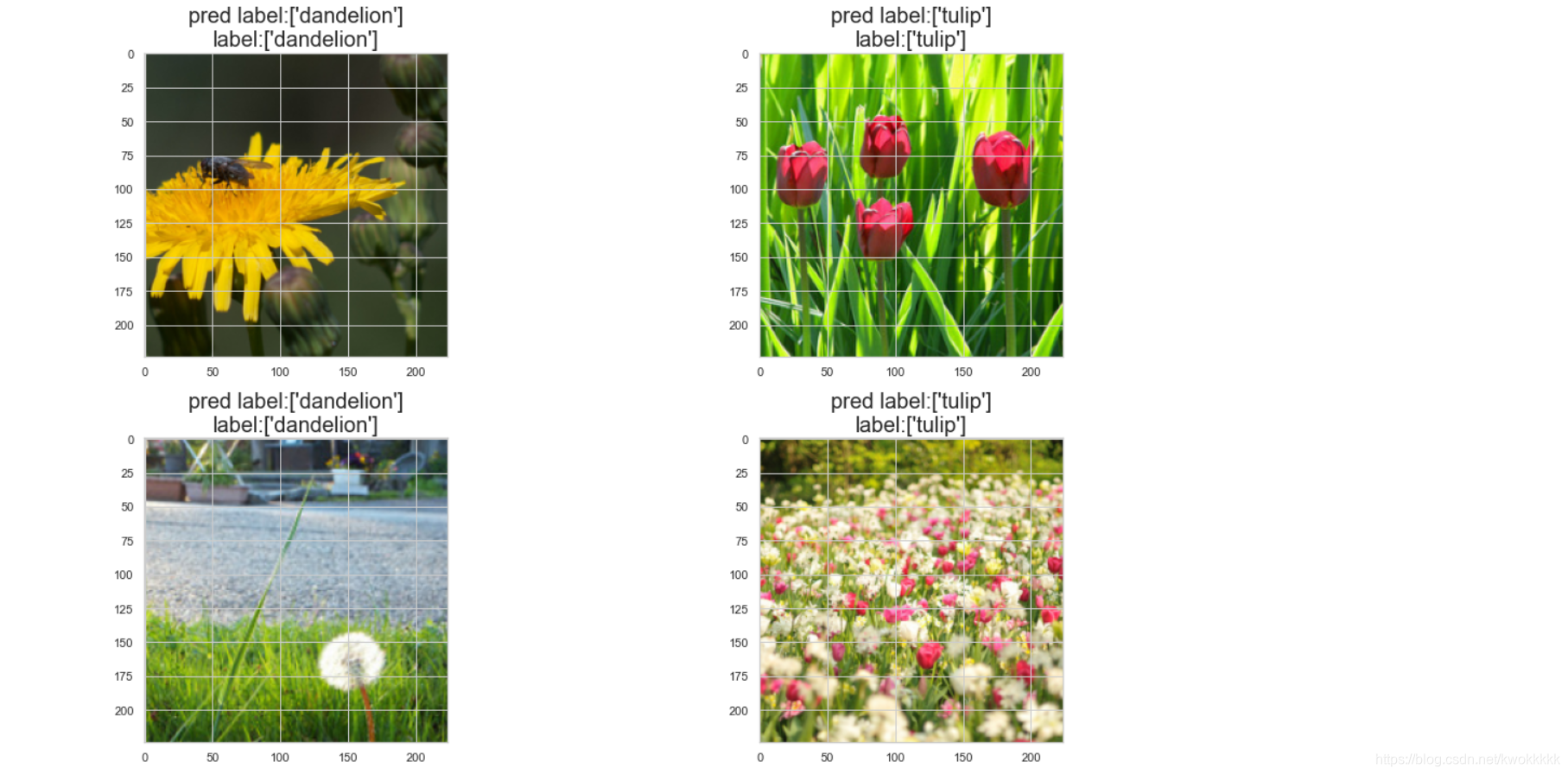 Pytorch Resnet花朵识别(5种花)附完整代码花卉识别代码 Csdn博客