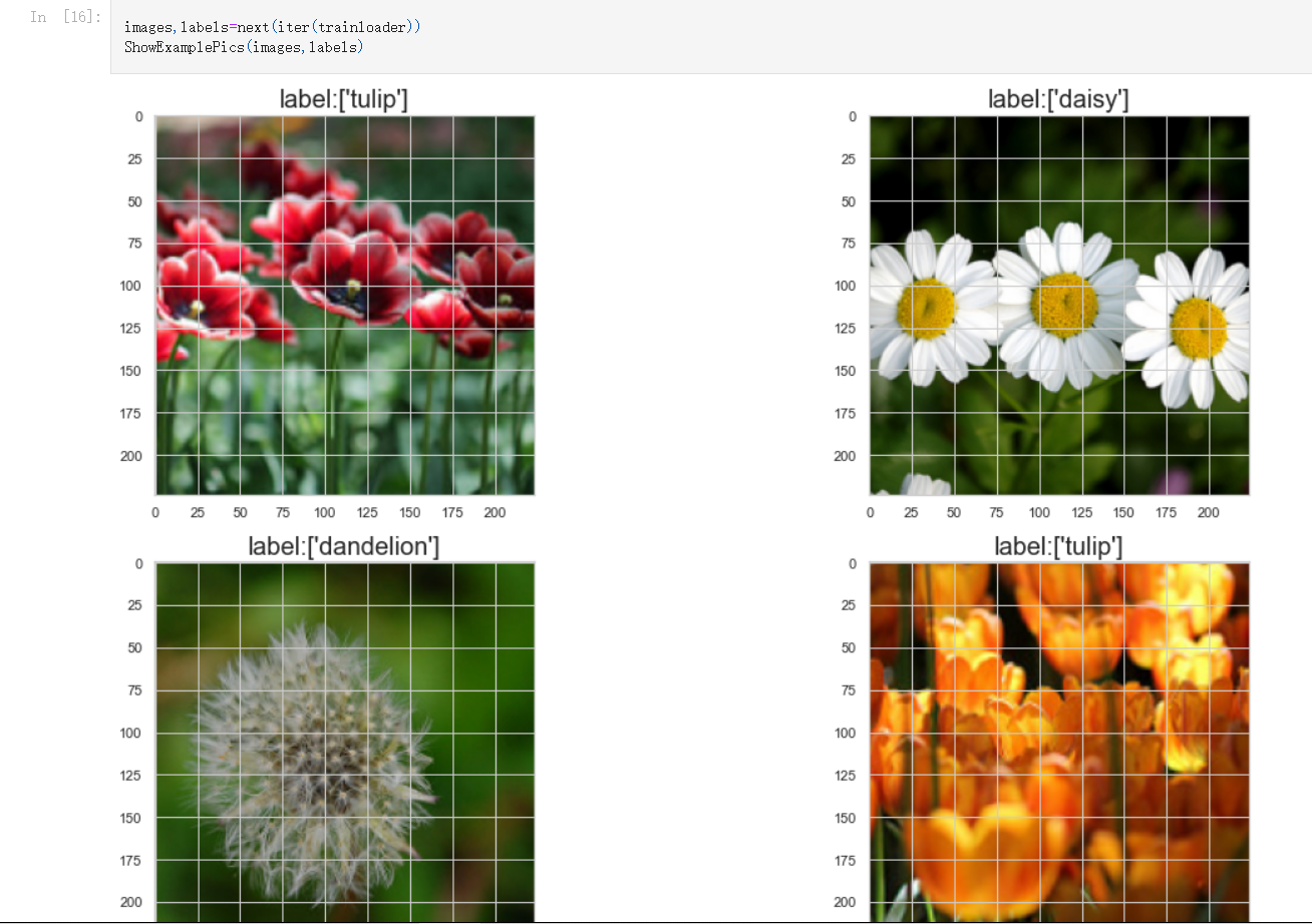 Pytorch Resnet花朵识别（5种花）附完整代码花卉识别代码 Csdn博客 