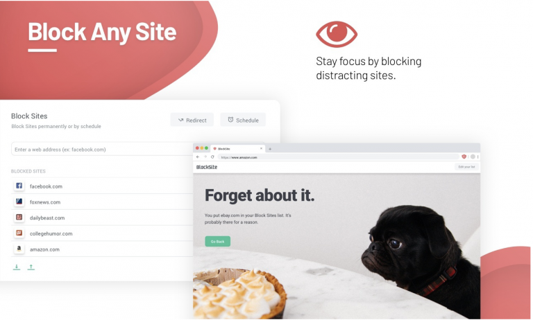 Block Site – Chrome™ 网站拦截程序_blocksite-CSDN博客