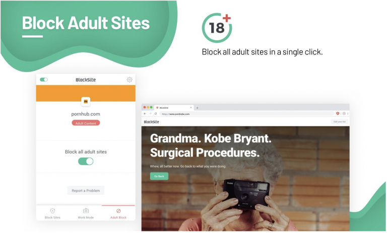 Block Site – Chrome™ 网站拦截程序_blocksite-CSDN博客
