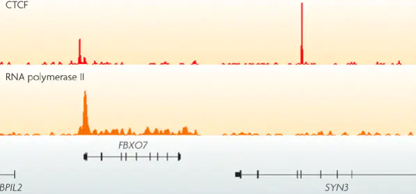 数据原理——1、ChIP-seq_chipseq_很酷的女超人的博客-CSDN博客