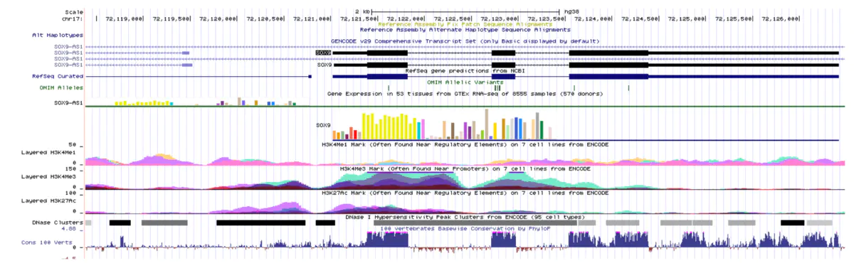 数据原理——1、ChIP-seq_chipseq_很酷的女超人的博客-CSDN博客
