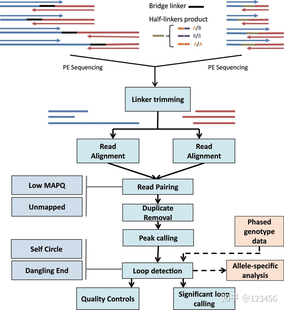 数据原理——2、ChIA-PET_很酷的女超人的博客-CSDN博客
