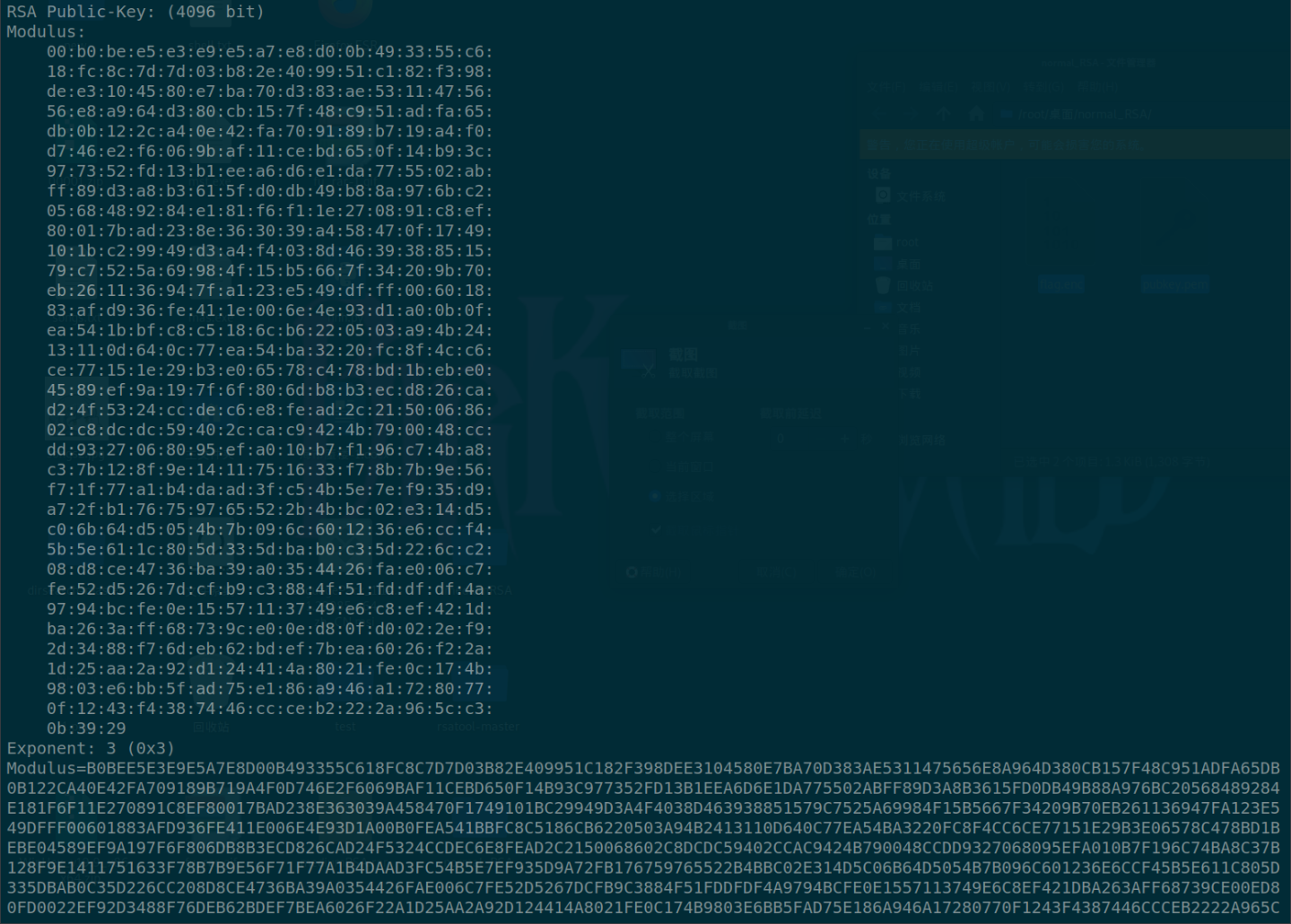 RSA原理及其攻击方法_sagemath rsa-CSDN博客