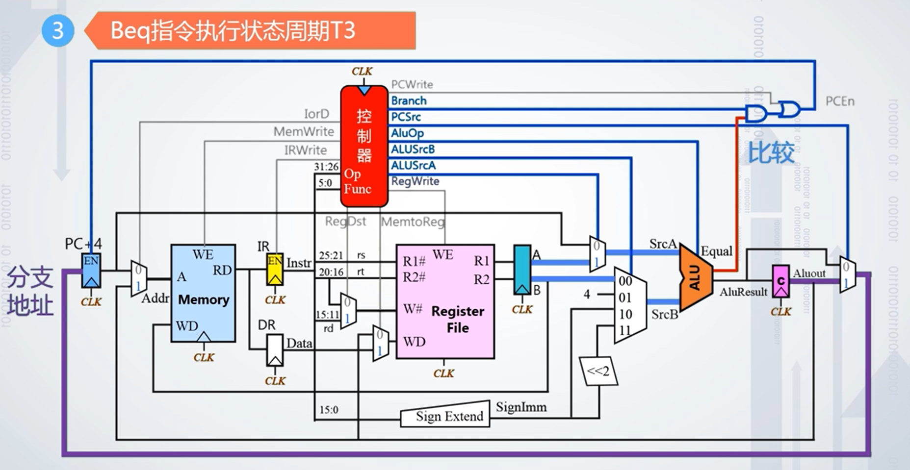 计算机组成原理——多周期MIPS CPU的数据通路_比较单周期 mips 处理器与多周期 mips 处理器的差异。-CSDN博客