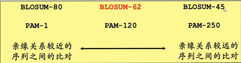 生物信息学_序列比对（二）替换计分矩阵_blosum62-CSDN博客