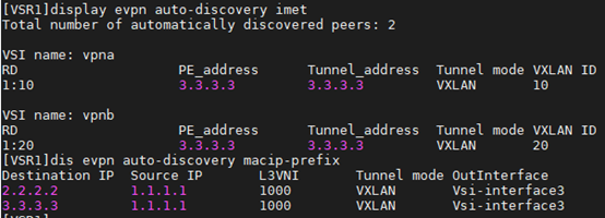EVPN小实验：分布式EVPN网关配置_route-distinguisher 1:1-CSDN博客
