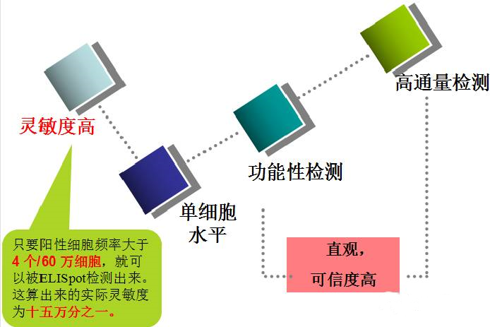 【整理】ELISPOT实验操作及常见问题_②elispot-CSDN博客