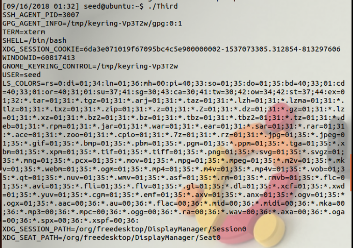 软件安全实验——lab1（环境变量和SetUID、LD_PRELOAD动态库加载劫持）_系统安全lab1-CSDN博客