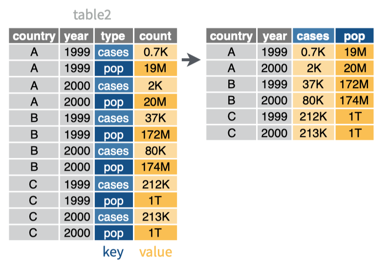 R语言tidyr包spread()函数实战详解：数据裂变、从窄表到宽表_r spread-CSDN博客