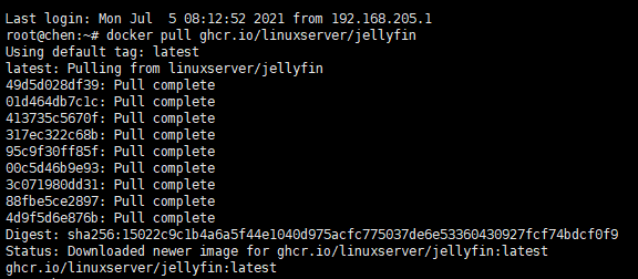 docker 搭建 Jellyfin_jellyfin docker-CSDN博客