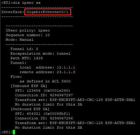 IPsec小实验：手工方式建立保护IPv4报文的IPsec-ESP隧道_构建esp隧道-CSDN博客