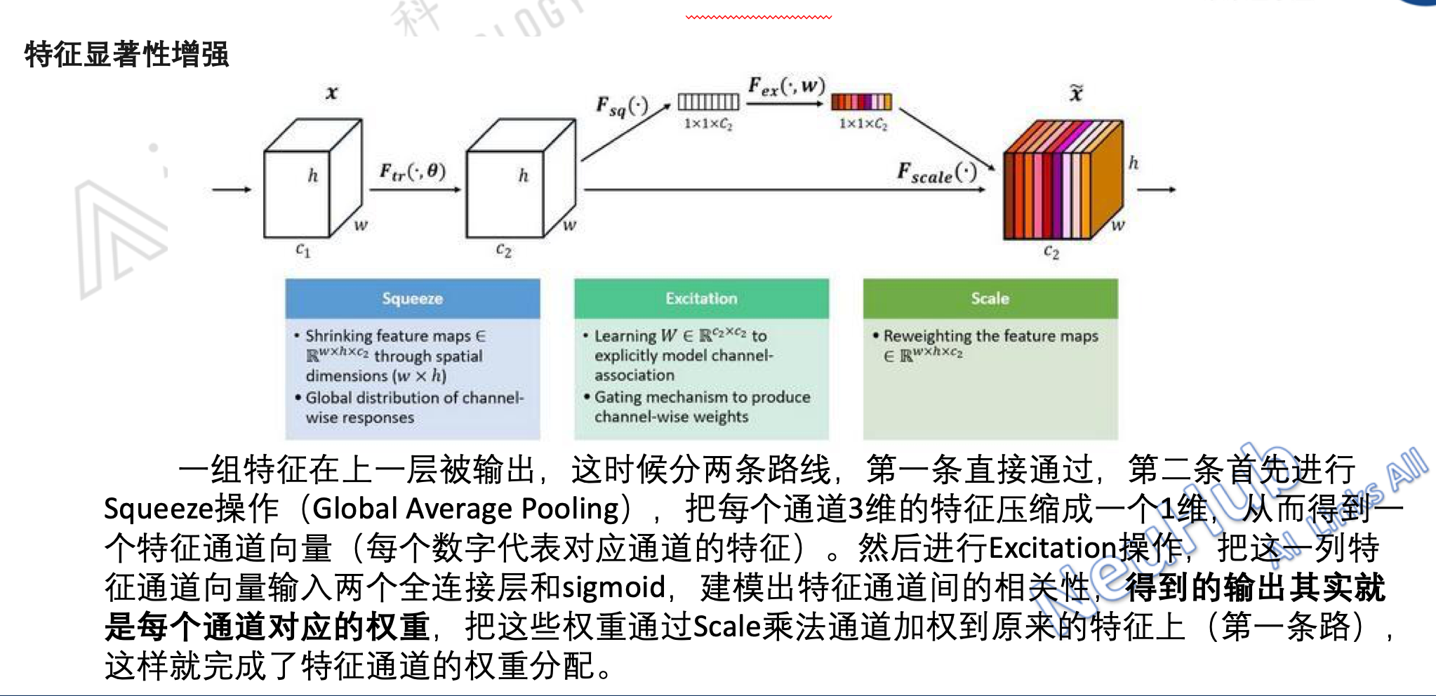 经典CNN结构及网络设计策略_cnn网络设计-CSDN博客