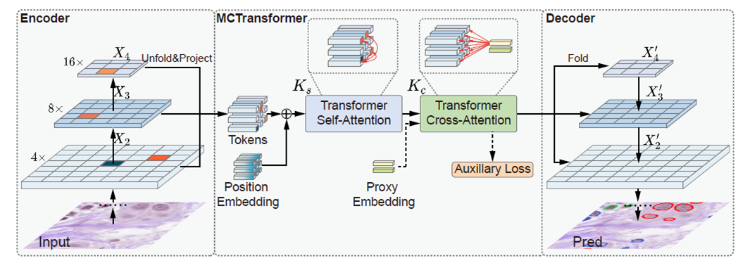 Multi-Compound Transformer for Accurate Biomedical Image Segmentation——论文阅读_y. ji et al., 鈥淢ulti ...