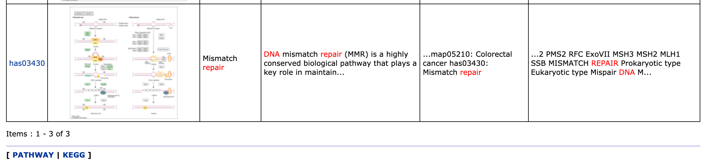 通过KEGG数据库获取某通路内基因list_kegg dna损伤-CSDN博客