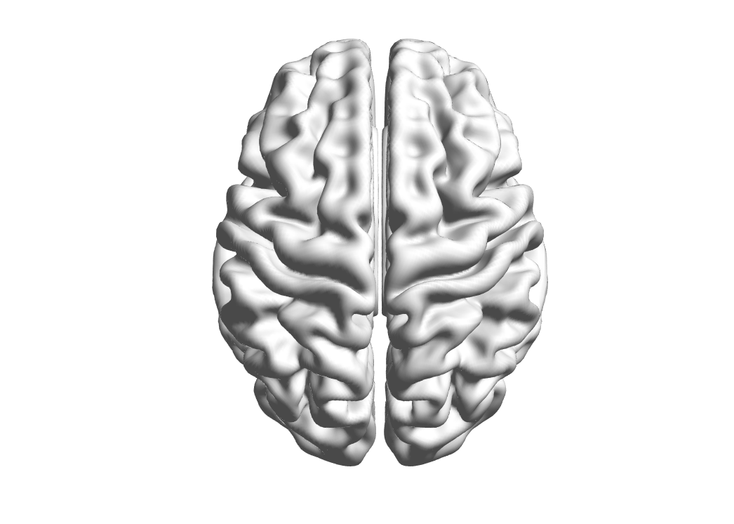 BrainNet viewer 简单教程_brainnet viewer教程-CSDN博客