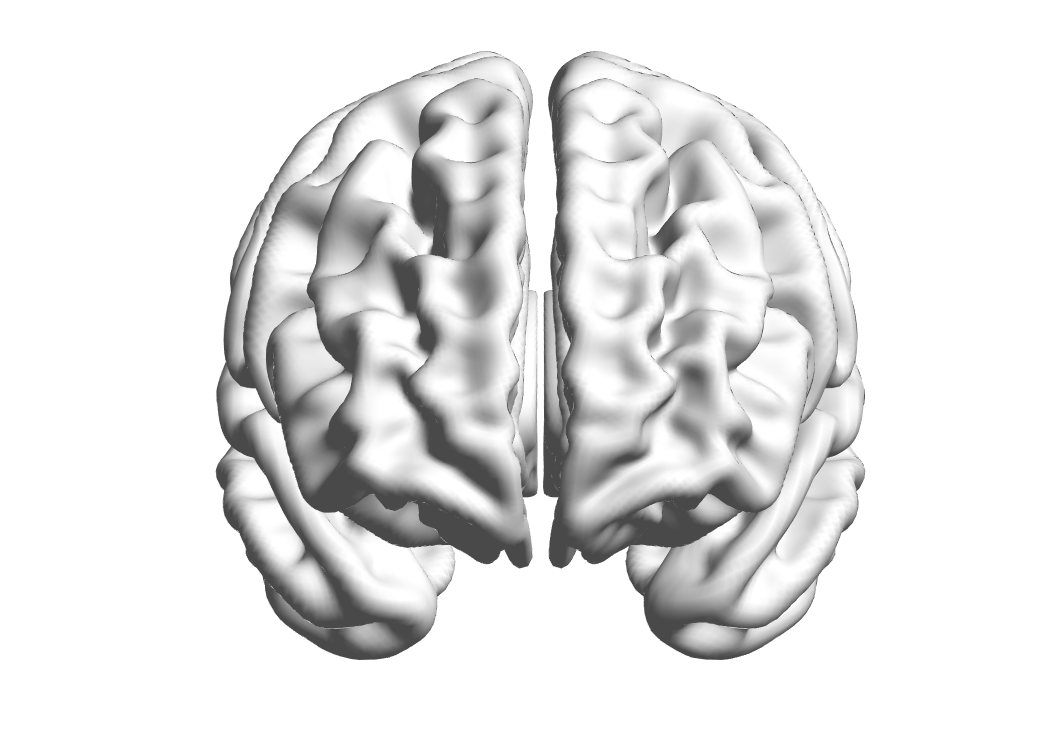 BrainNet viewer 简单教程_brainnet viewer教程-CSDN博客