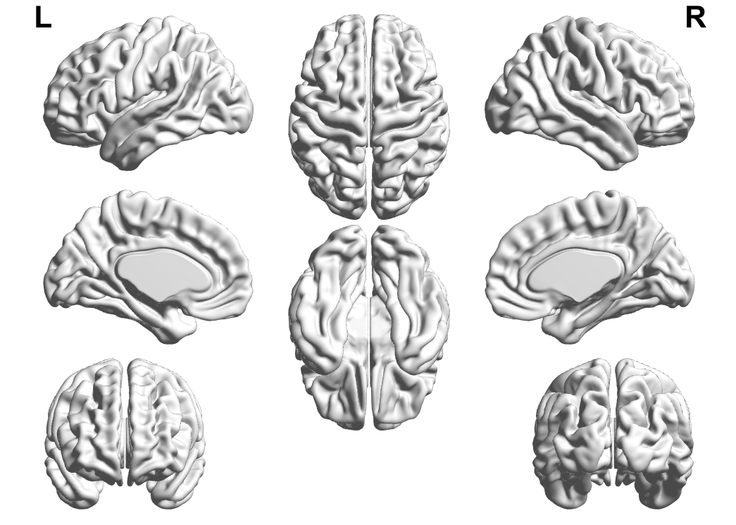 BrainNet viewer 简单教程_brainnet viewer教程-CSDN博客