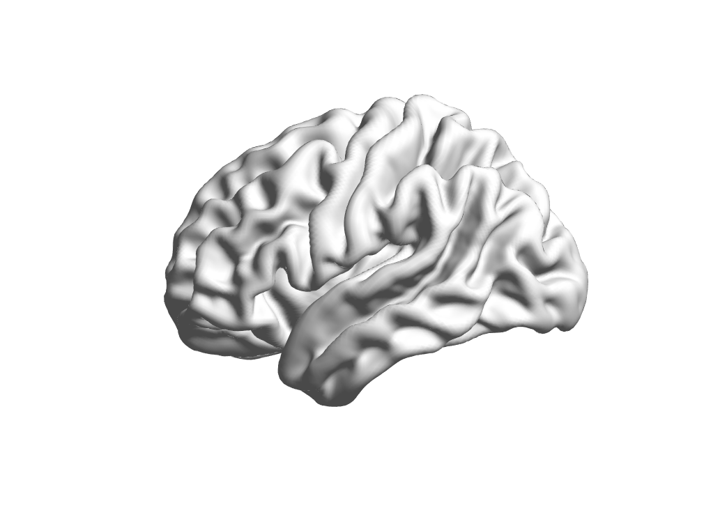 BrainNet viewer 简单教程_brainnet viewer教程-CSDN博客