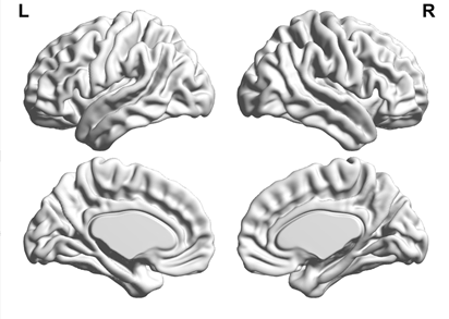 BrainNet viewer 简单教程_brainnet viewer教程-CSDN博客
