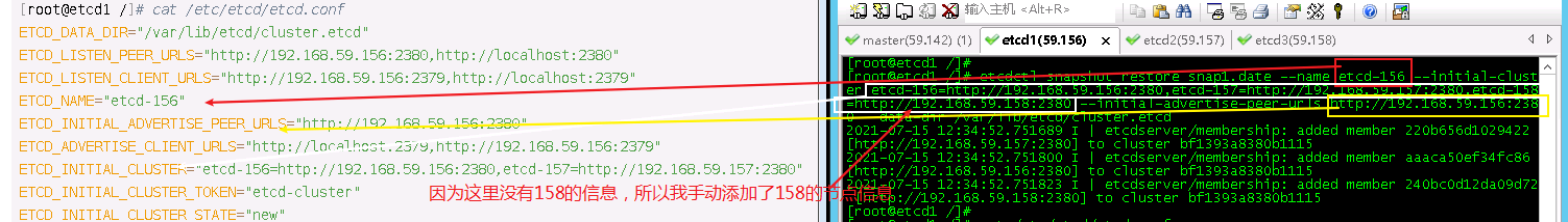 k8s的核心组件etcd的安装使用、快照说明及etcd命令详解【含单节点，多节点和新节点加入说明】-CSDN博客