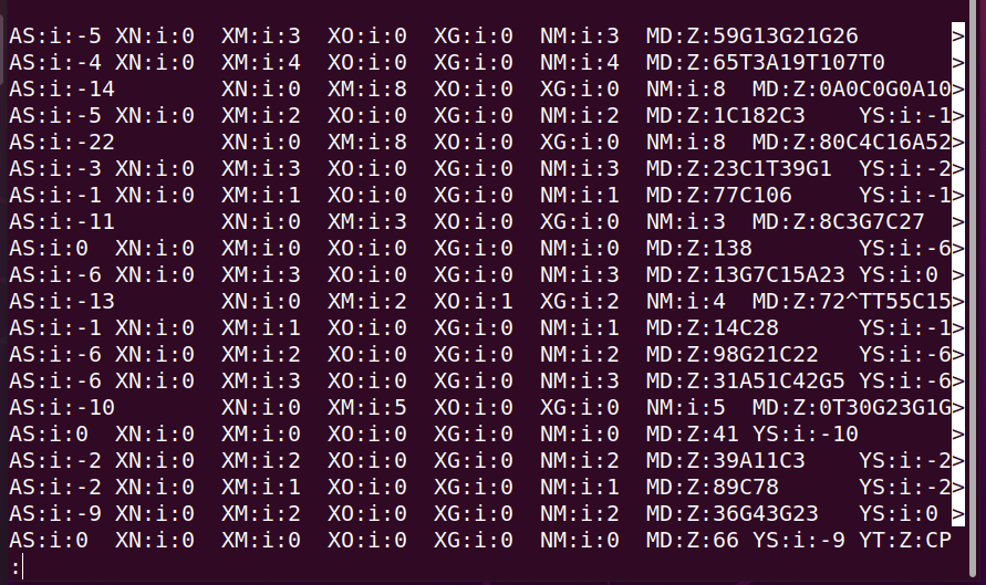 生信学习——sam和bam格式文件的shell小练习（附详细答案解读）-CSDN博客