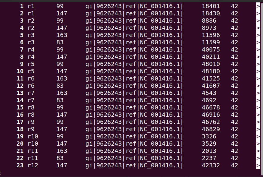 生信学习——sam和bam格式文件的shell小练习（附详细答案解读）-CSDN博客
