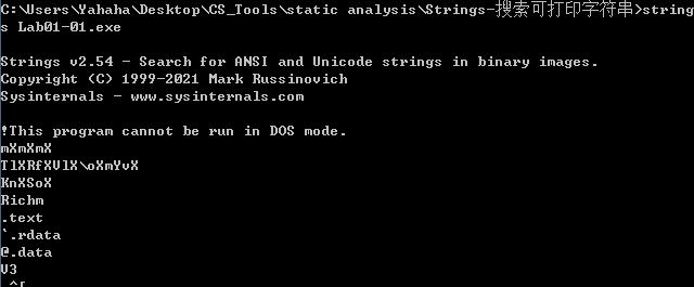 《恶意代码分析实战》第1章 静态分析基础技术（课后实验Lab 1）_静态分析恶意代码实验报告-CSDN博客