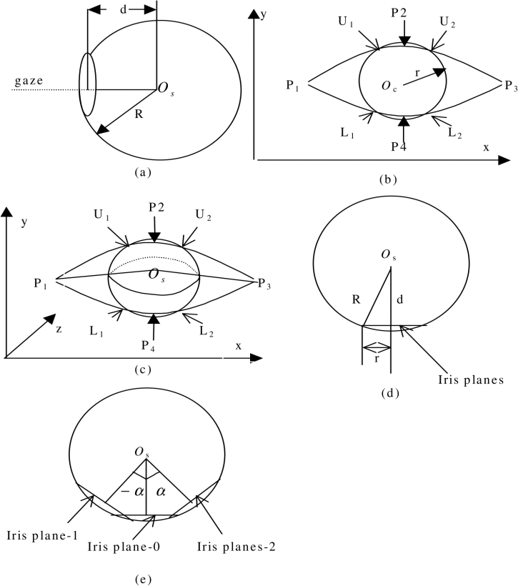Openface (二) EYE GAZE 算法综述_rendering of eyes for eye-shape registration ...