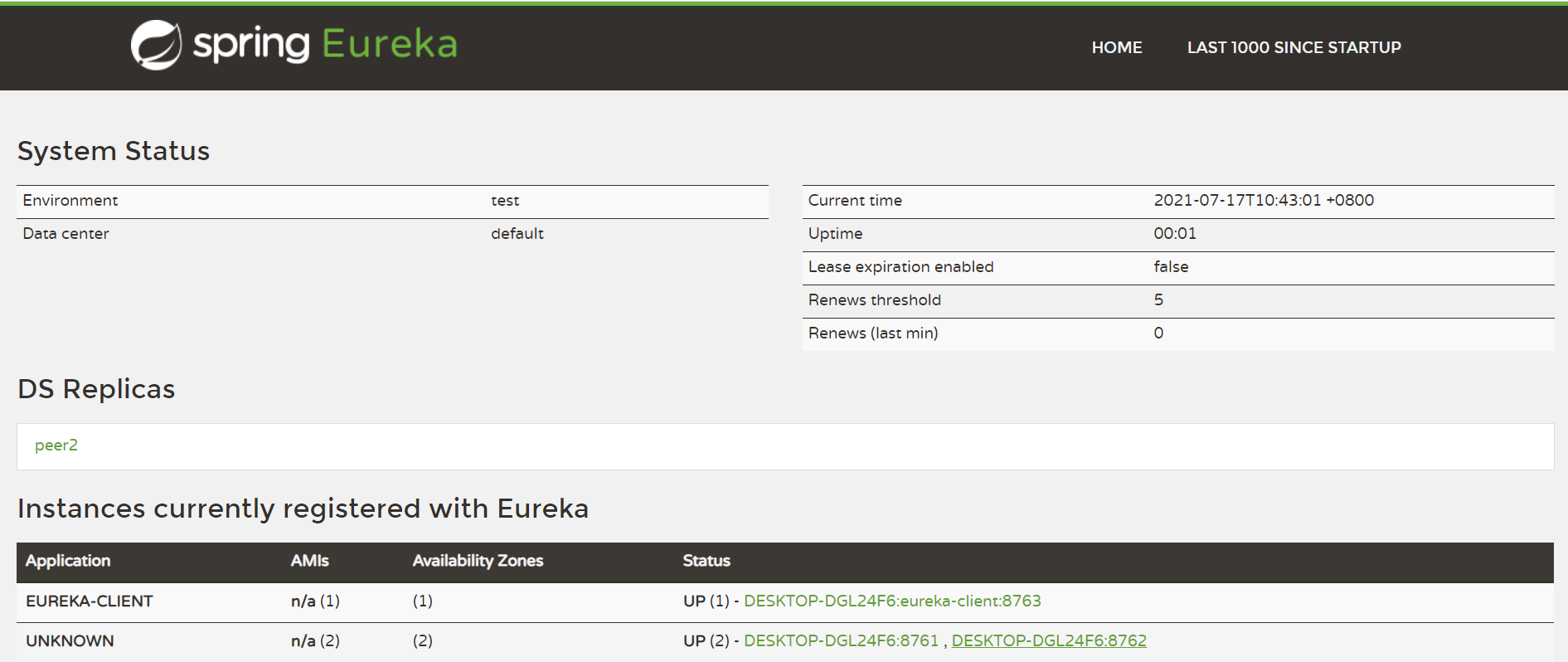 构建Eureka Server高可用集群基本操作_org.su.duck.rpc.rpc-CSDN博客