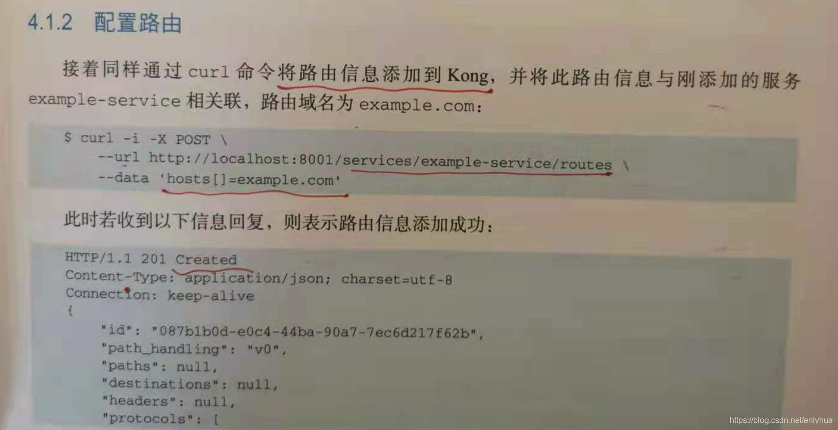 4kong入门与实战 基于nginx和openresty的云原生微服务网关 Kong 的基本功能kong网关入门、进阶与实战pdf