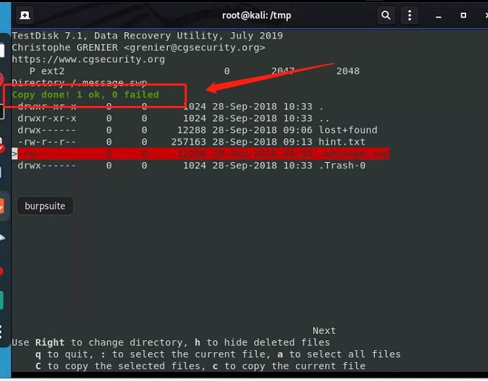 ctf杂项-easy_dump.img_ctf img文件-CSDN博客