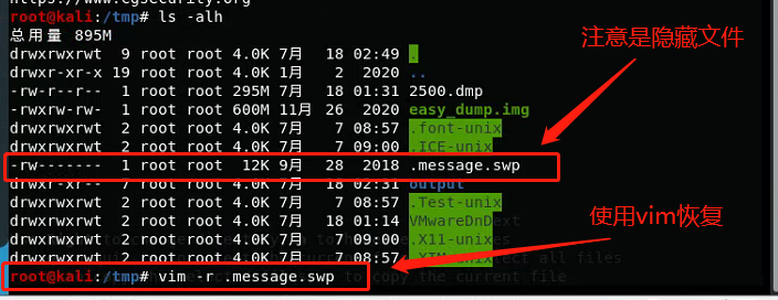 ctf杂项-easy_dump.img_ctf img文件-CSDN博客