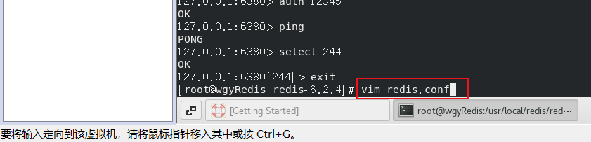 Redis入门五：Redis基本配置二：端口（port）、日志文件（logfile）、数据库总量（databases）、密码（requirepass）、文件存储目录（dir）；_redis ...