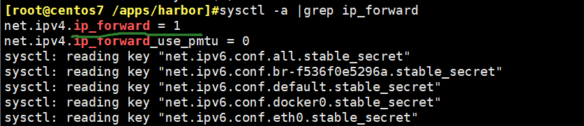 开启ip_forward转发功能_ipforward-CSDN博客