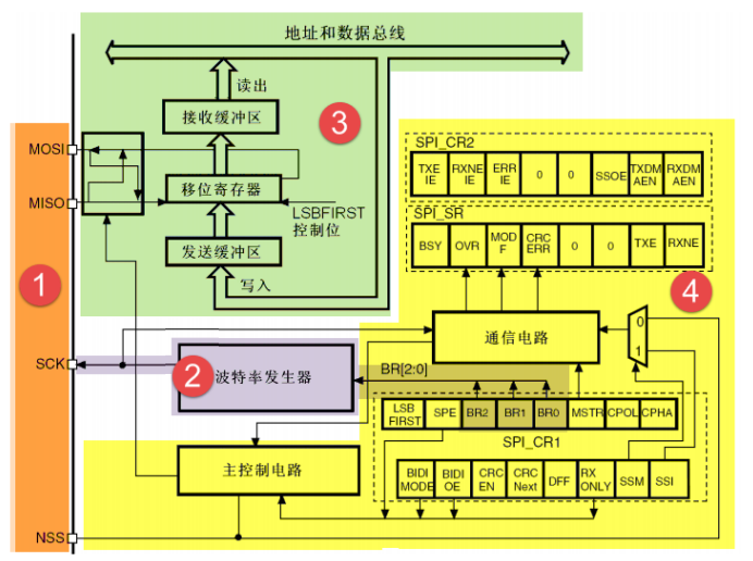 STM32 microcontroller SPI interface NSS management analysis - Programmer Sought