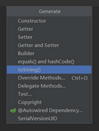 IDEA toString方法输出JSON格式_idea tostring json-CSDN博客