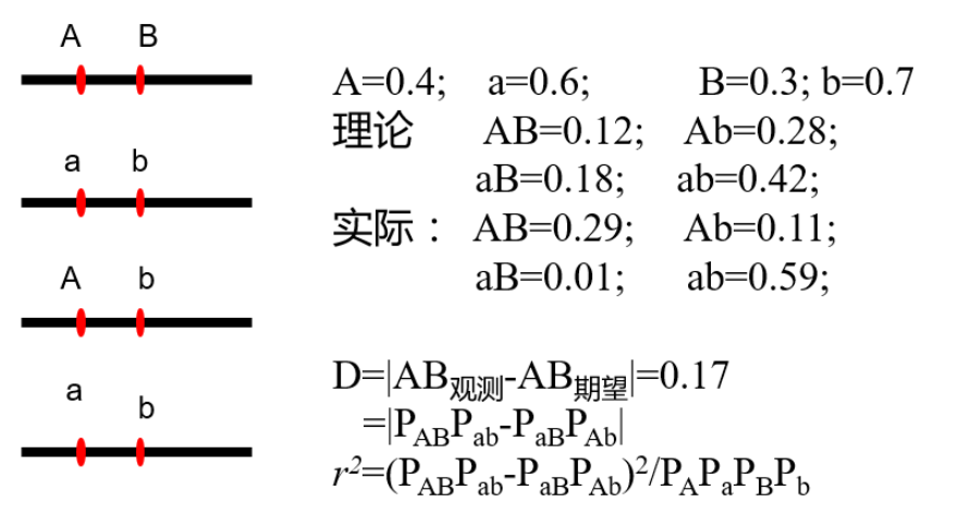 LD衰减图解读（LD decay）-CSDN博客