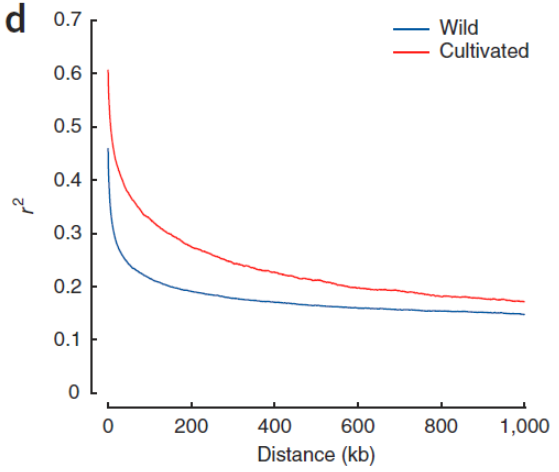 LD衰减图解读（LD decay）-CSDN博客