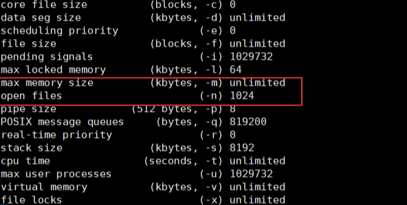 nproc、nofile 对于systemctl 服务设置不生效_linux nofile 不生效-CSDN博客